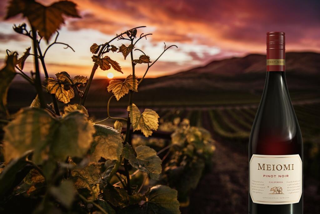 Expert Meiomi Pinot Noir Review - Zipps Liquor